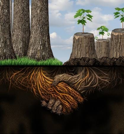 A New Recovery Covenant